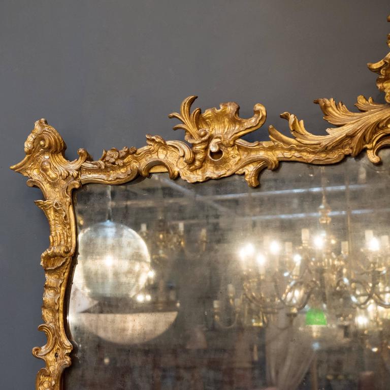 Large Italian Rococo Mirror at 1stDibs
