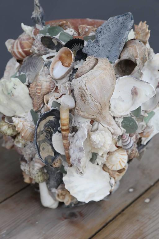 Shell-Covered Terracotta Cache-Pots at 1stDibs | cache pots for sale