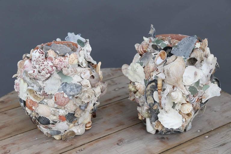 Shell-Covered Terracotta Cache-Pots at 1stDibs | cache pots for sale