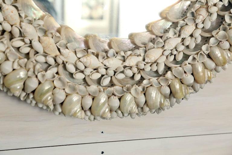 Shell-Covered Oval Mirror at 1stDibs