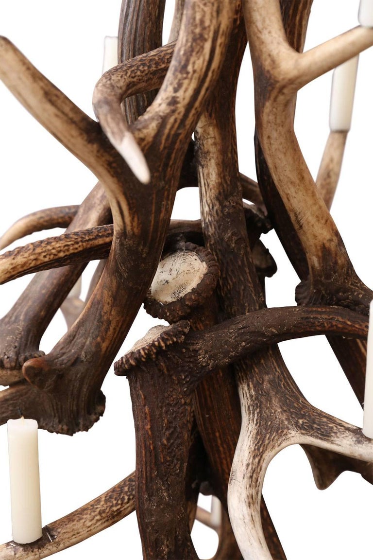 Red Stag Antler Tree-Shape Candelabra For Sale at 1stDibs