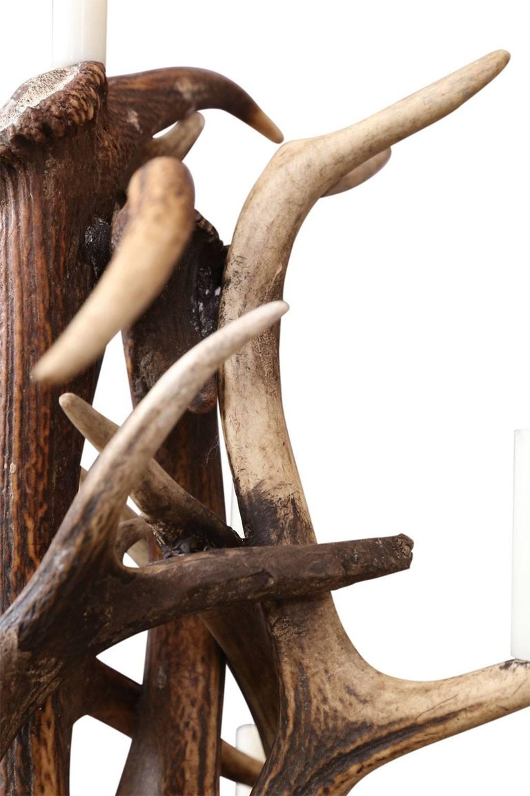 Red Stag Antler Tree-Shape Candelabra at 1stDibs