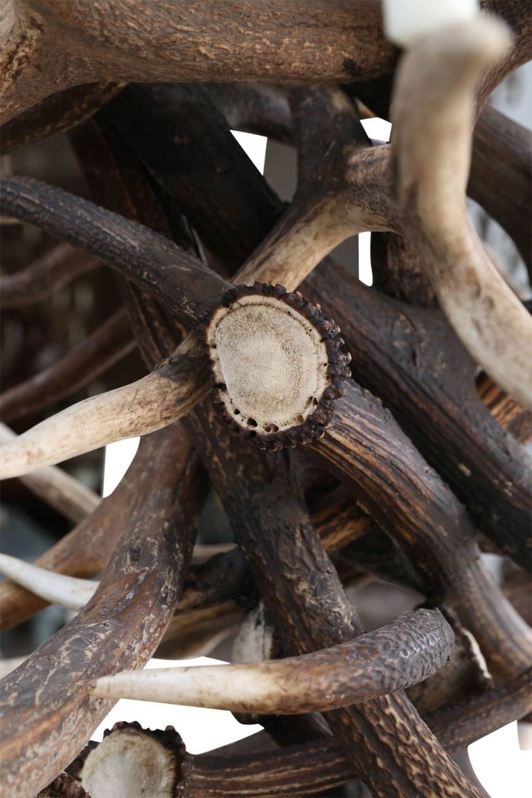 Red Stag Antler Tree at 1stDibs