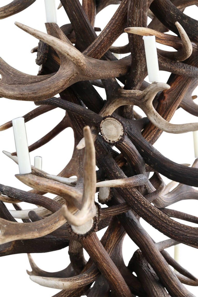 Red Stag Antler Tree at 1stDibs