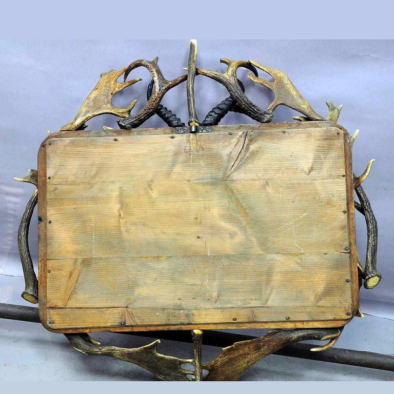 Antique Antler Frame with Rustic Antler Decorations and Mirror at 1stDibs