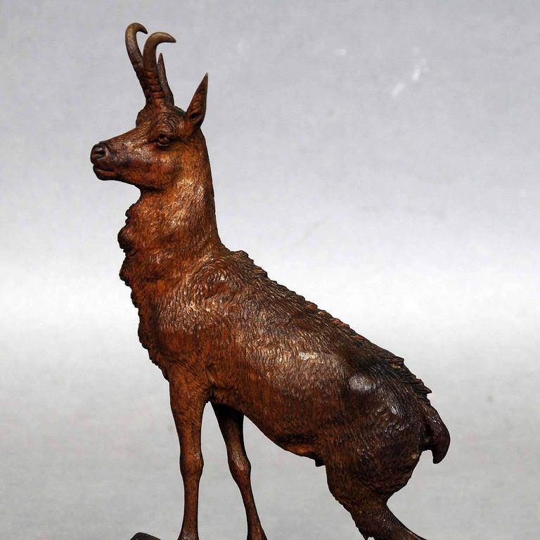 Great Carved Wood Sculptures Ibex and Chamois, 1900 at 1stDibs