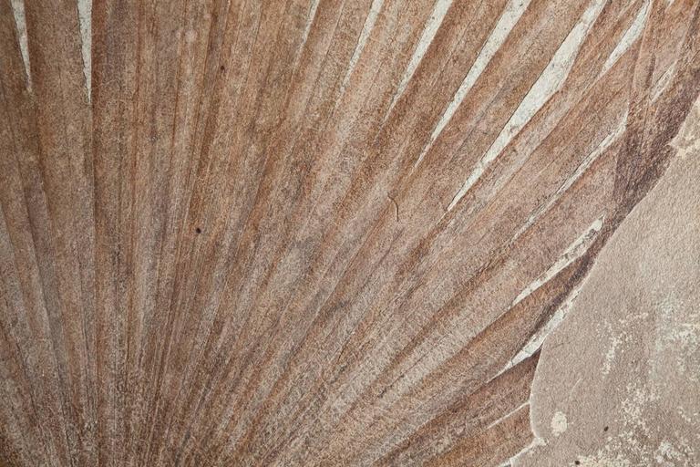 Fossil Fish and Palm wall plate For Sale at 1stDibs