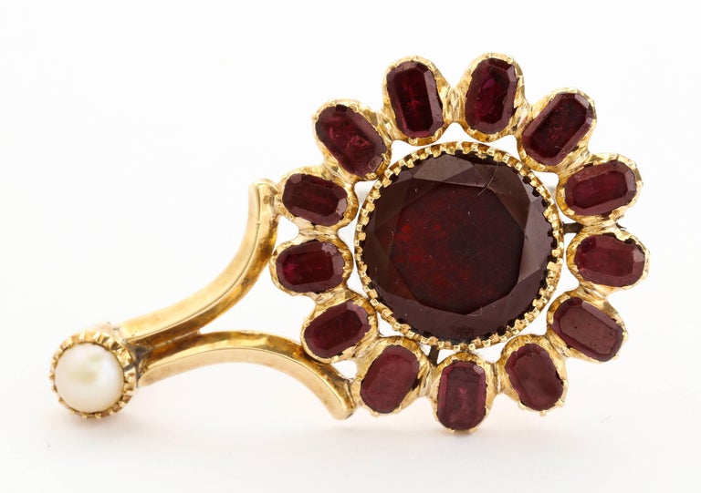 15 Karat Gold, Garnet, Georgian Haley's Comet Brooch at 1stDibs | comet ...
