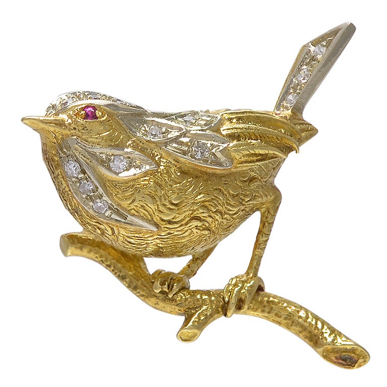 Gold English Wren Bird Pin at 1stDibs