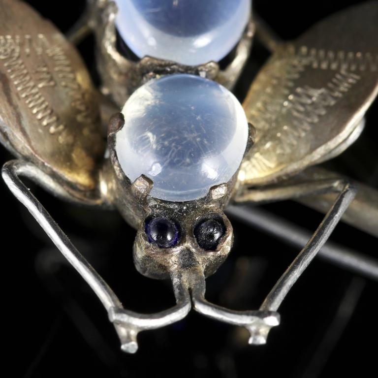 Antique Victorian Moonstone Silver Bug, circa 1900 Brooch at 1stDibs ...