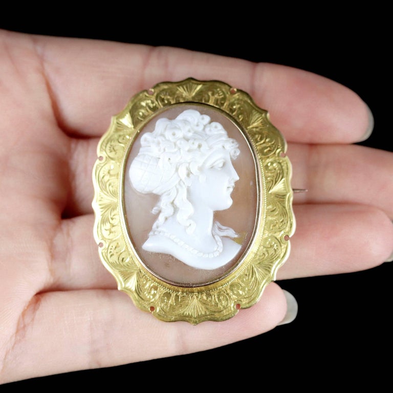 Antique Victorian 15 Carat Gold Cameo Brooch, circa 1880 at 1stDibs
