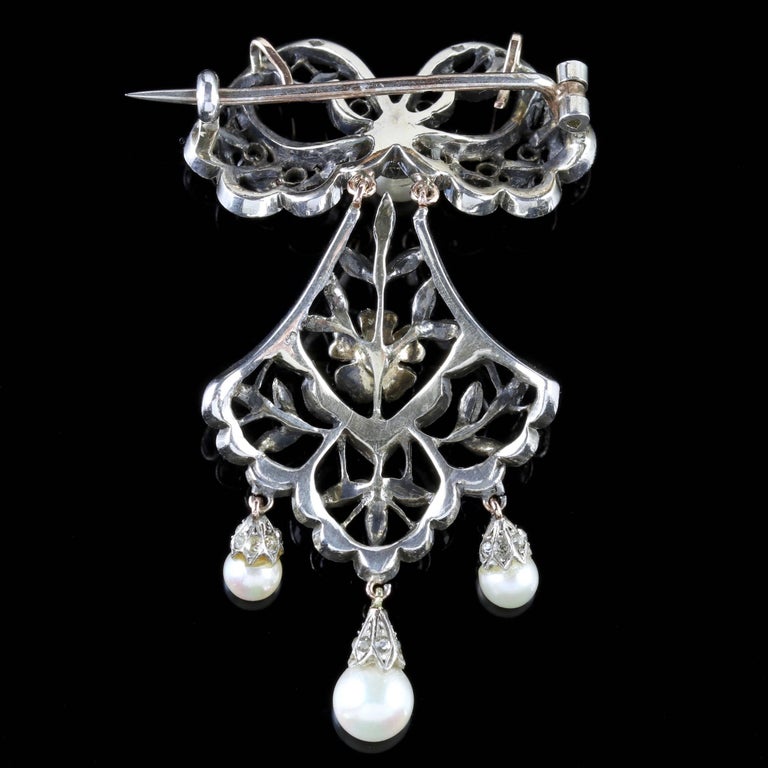 Antique French Victorian Boxed Belle Epoque Brooch, circa 1900 For Sale ...