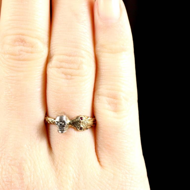 Momento Mori Diamond Ruby Skull Snake Ring 18 Carat Gold at 1stDibs