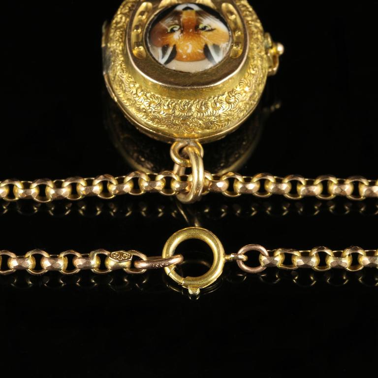 Antique Victorian Fox Hunting Necklace Gold Locket and Chain, circa ...