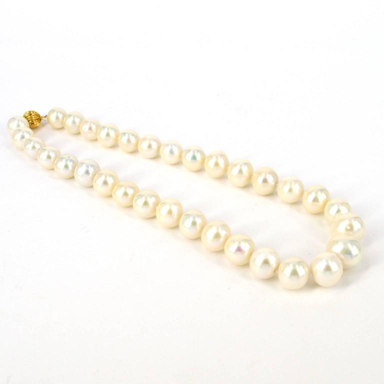 Freshwater Edison Pearl Necklace 14k Gold For Sale at 1stDibs | edison ...