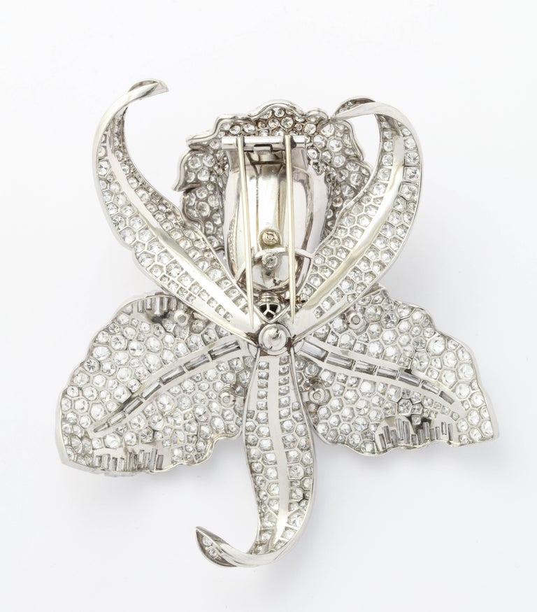 Very Large Diamond Orchid Brooch For Sale at 1stDibs | very large brooches