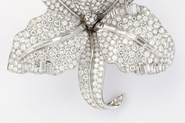 Very Large Diamond Orchid Brooch For Sale at 1stDibs | very large brooches