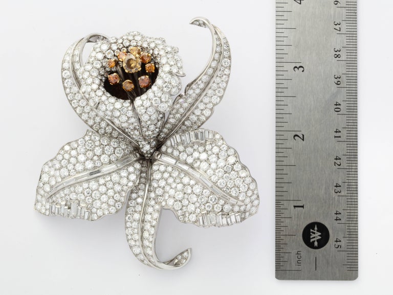 Very Large Diamond Orchid Brooch For Sale at 1stDibs | very large brooches