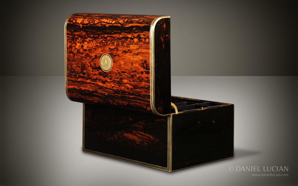 Coromandel Dome Top Antique Jewelry Box For Sale at 1stDibs