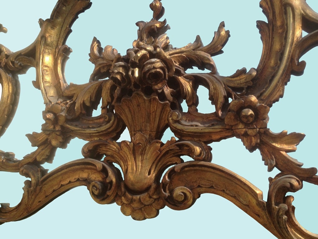 Extraordinary Gold Gilt and Carved Wood European Mirror For Sale at 1stDibs