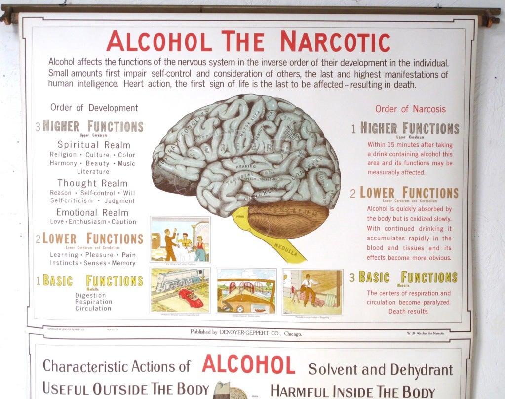 Alcohol the Narcotic Chart at 1stDibs