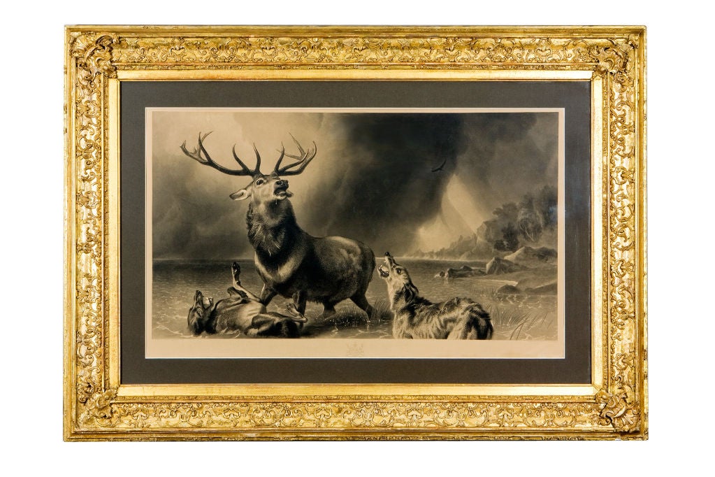 19th Century Print By Landseer Titled " The Stag At Bay" at 1stDibs ...