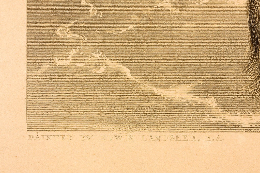 19th Century Print By Landseer Titled " The Stag At Bay" at 1stDibs ...