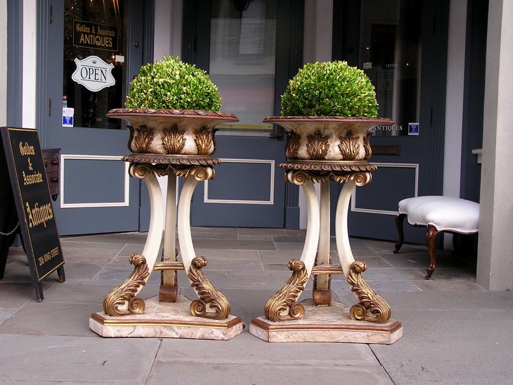 Pair of Italian Carved Wood Hand Painted and Gilt Garden Planters ...