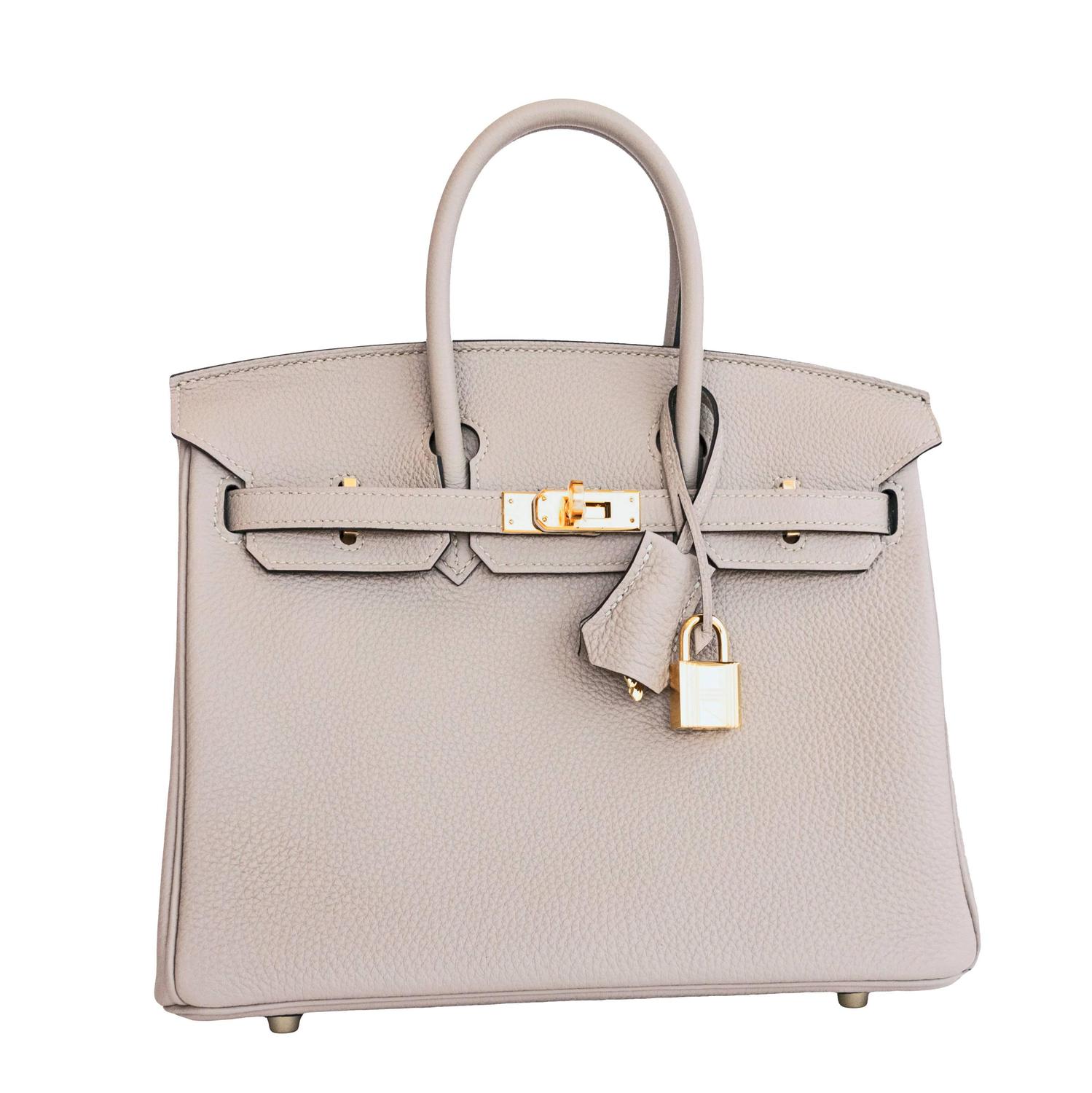Hermes Gris Tourterelle Baby Birkin Dove Grey 25cm Togo Gold GHW Jewel ...