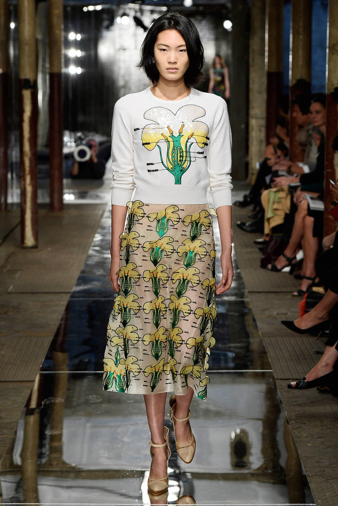 Christopher Kane 2014 Runway Flower Anatomy Skirt at 1stDibs ...