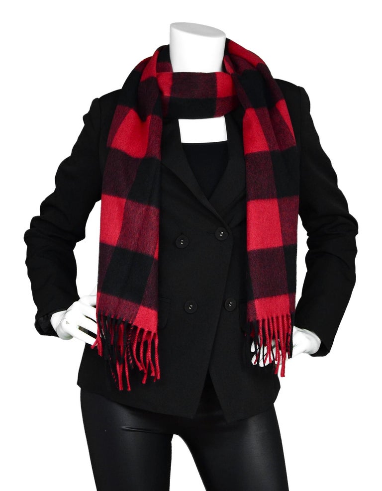 Christian Dior Homme Men's Red/Black Plaid Gingham Wool/Cashmere Scarf ...