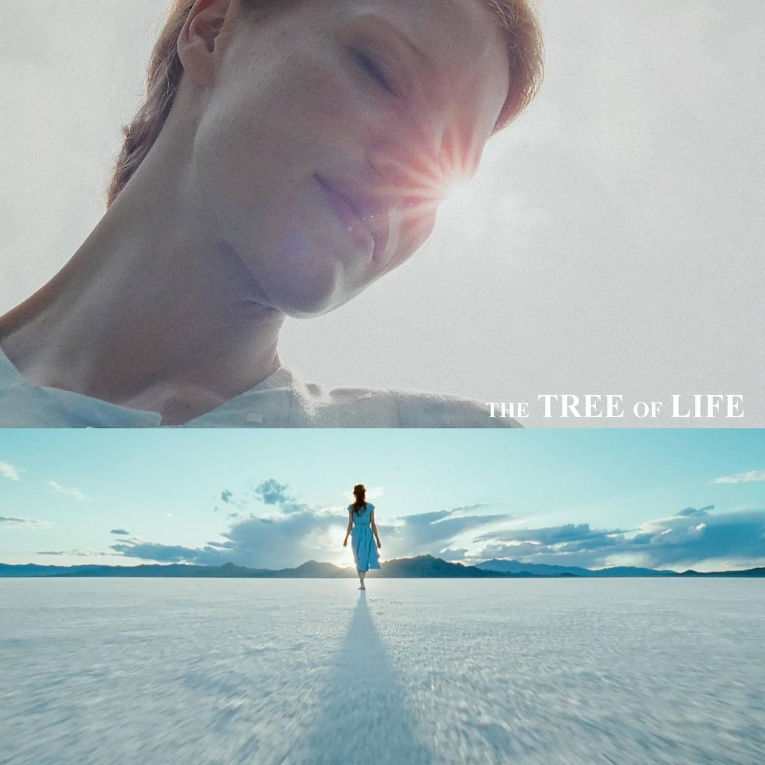 1950s Original Vintage Dress Worn By Jessica Chastain Tree of Life ...