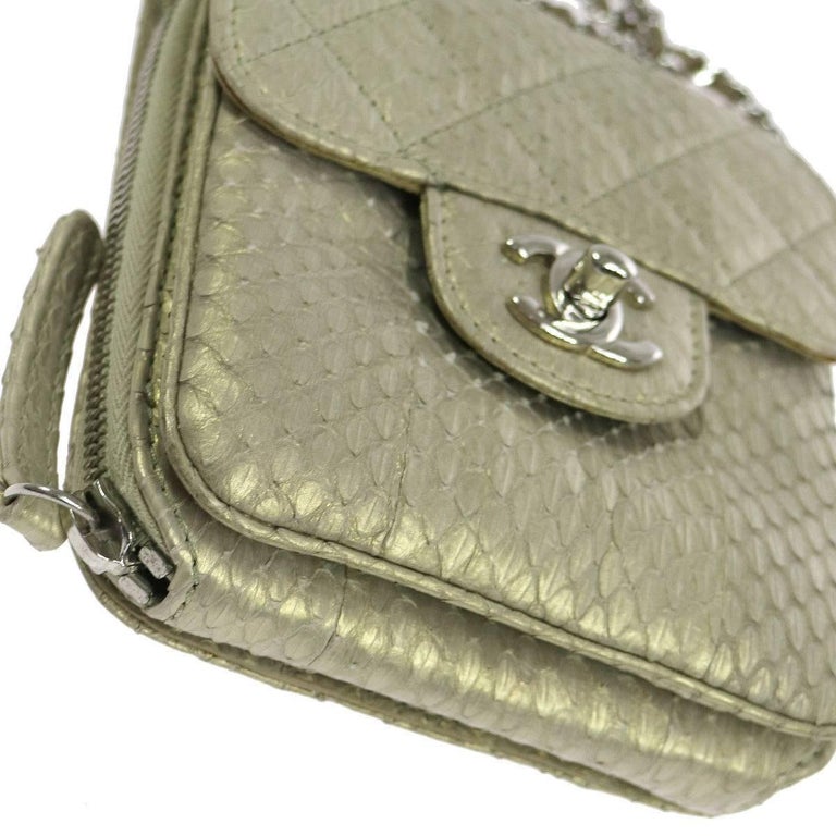 Chanel Python Iridescent Evening Wallet on Chain WOC Crossbody Shoulder ...
