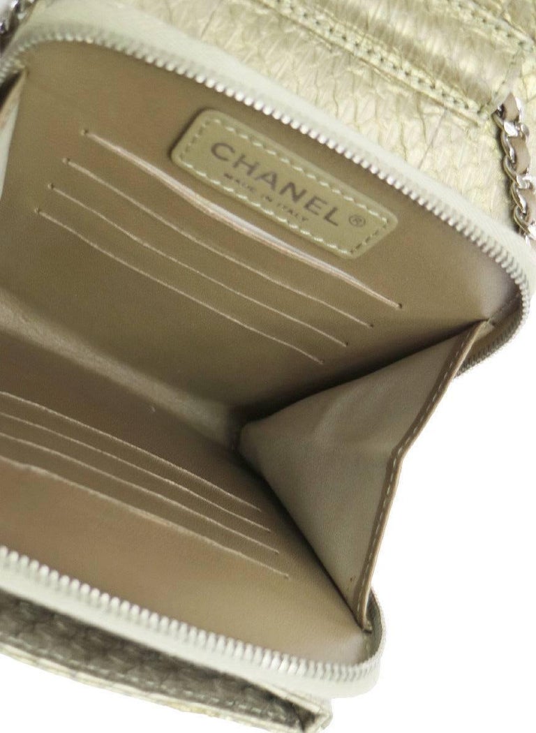 Chanel Python Iridescent Evening Wallet on Chain WOC Crossbody Shoulder ...