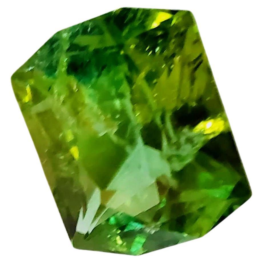 6.31ct Pair Scissor Cut/Octagonal Green Tourmaline from Brazil For Sale ...