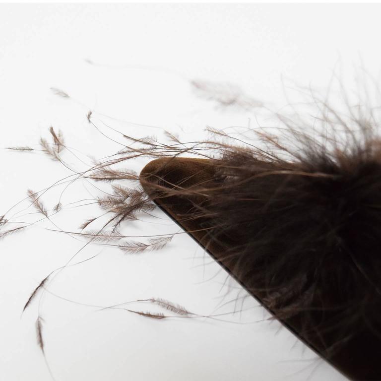 Rene Caovilla Feather Embellished Chocolate Brown Slide Mule For Sale ...