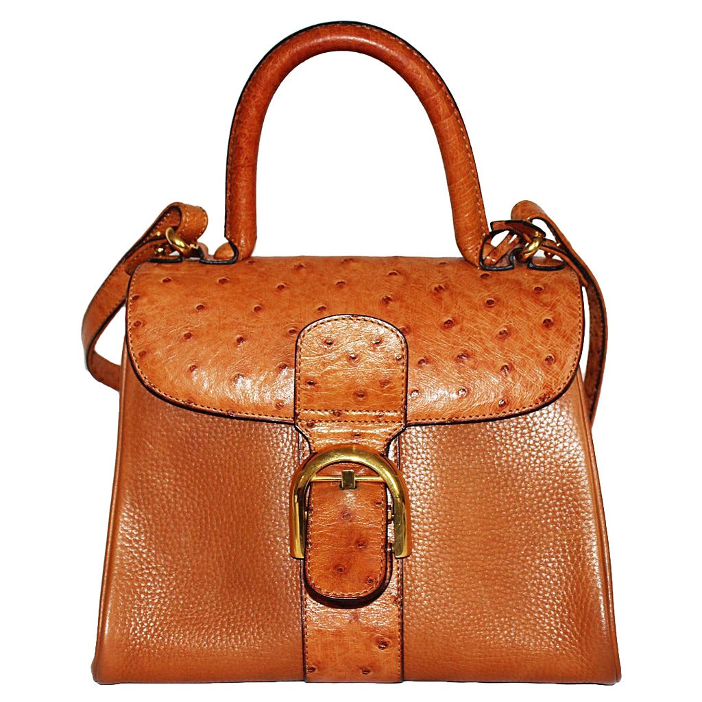 Delvaux Brillant Ostrich Handbag at 1stDibs