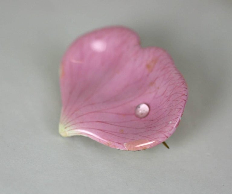 Victorian Rose Petal Brooch For Sale at 1stDibs