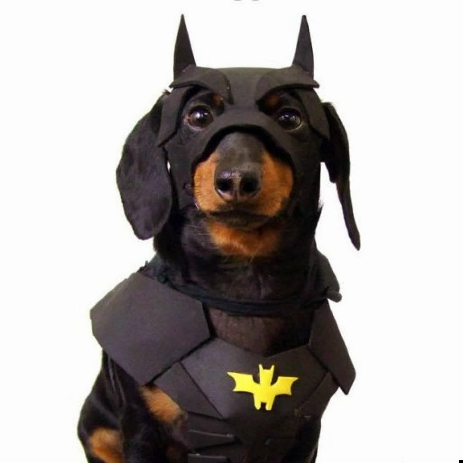 chalupa batman For Sale at 1stDibs