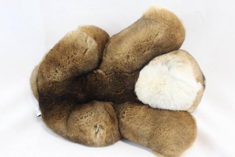 Super Cute Dior Supersoft Orylag Fur Puppy. Retail price For Sale at ...