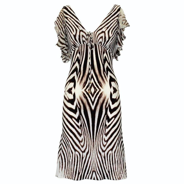 Roberto Cavalli Zebra Striped Dress 40 at 1stDibs