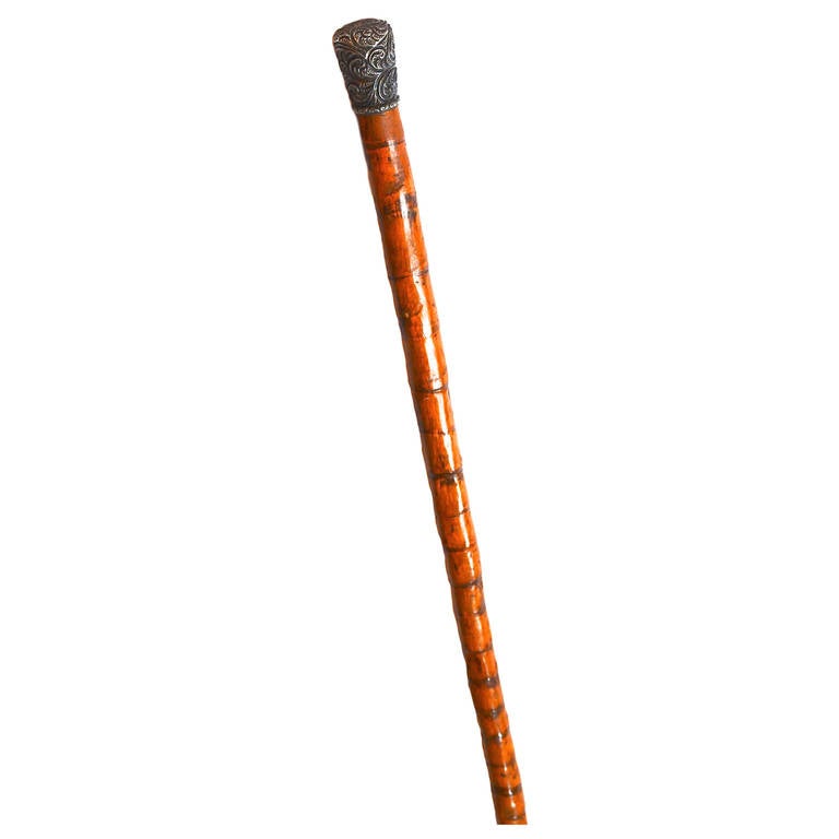 Victorian Walking Stick at 1stDibs
