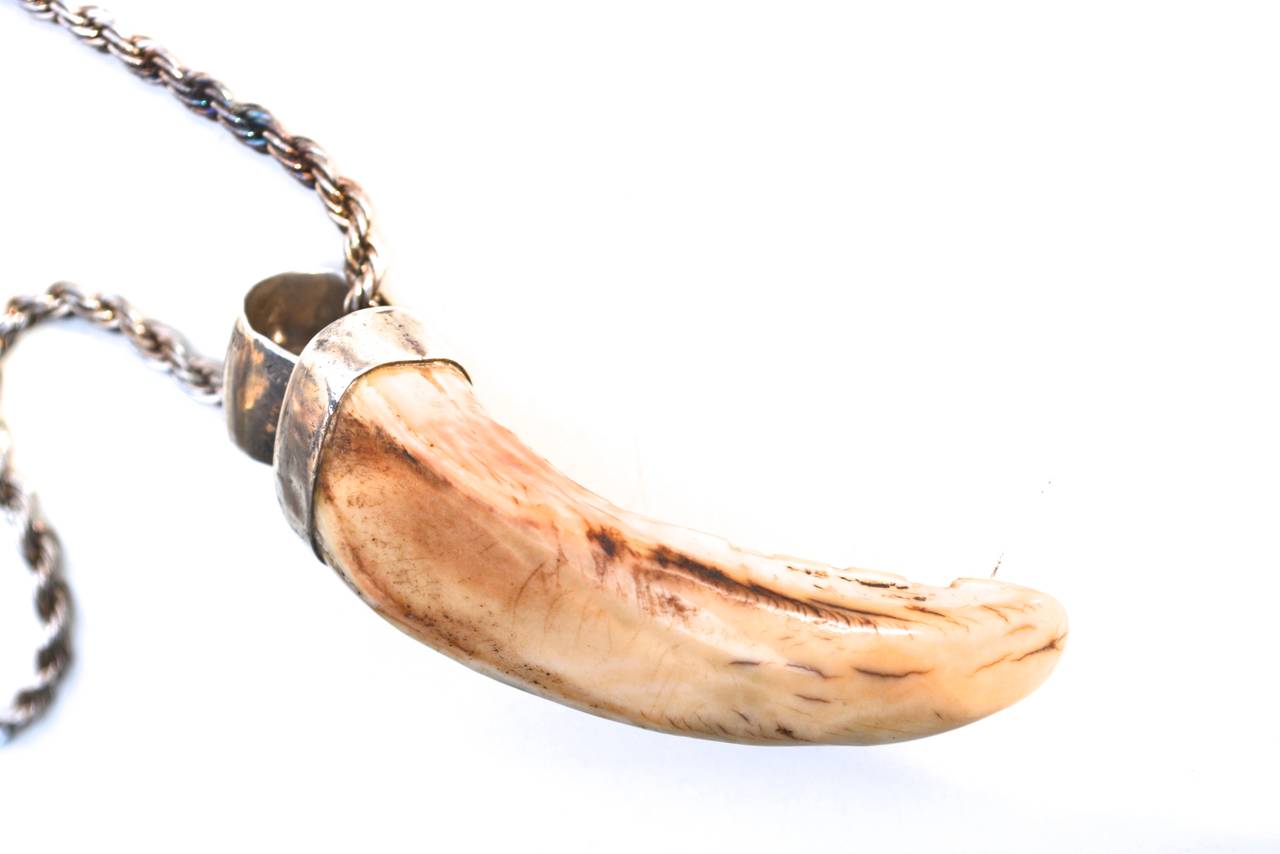 Wild Boar Tooth and Diamond Necklace at 1stDibs | wild boar tooth ...
