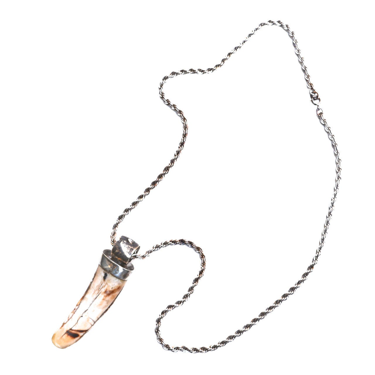 Wild Boar Tooth and Diamond Necklace at 1stDibs | wild boar tooth necklace