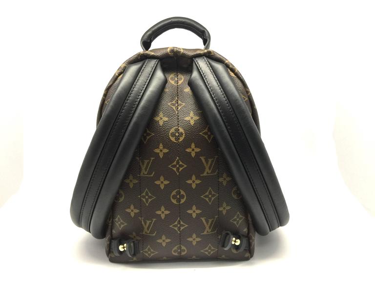 Louis Vuitton Palm Springs PM Monogram Backpack at 1stDibs