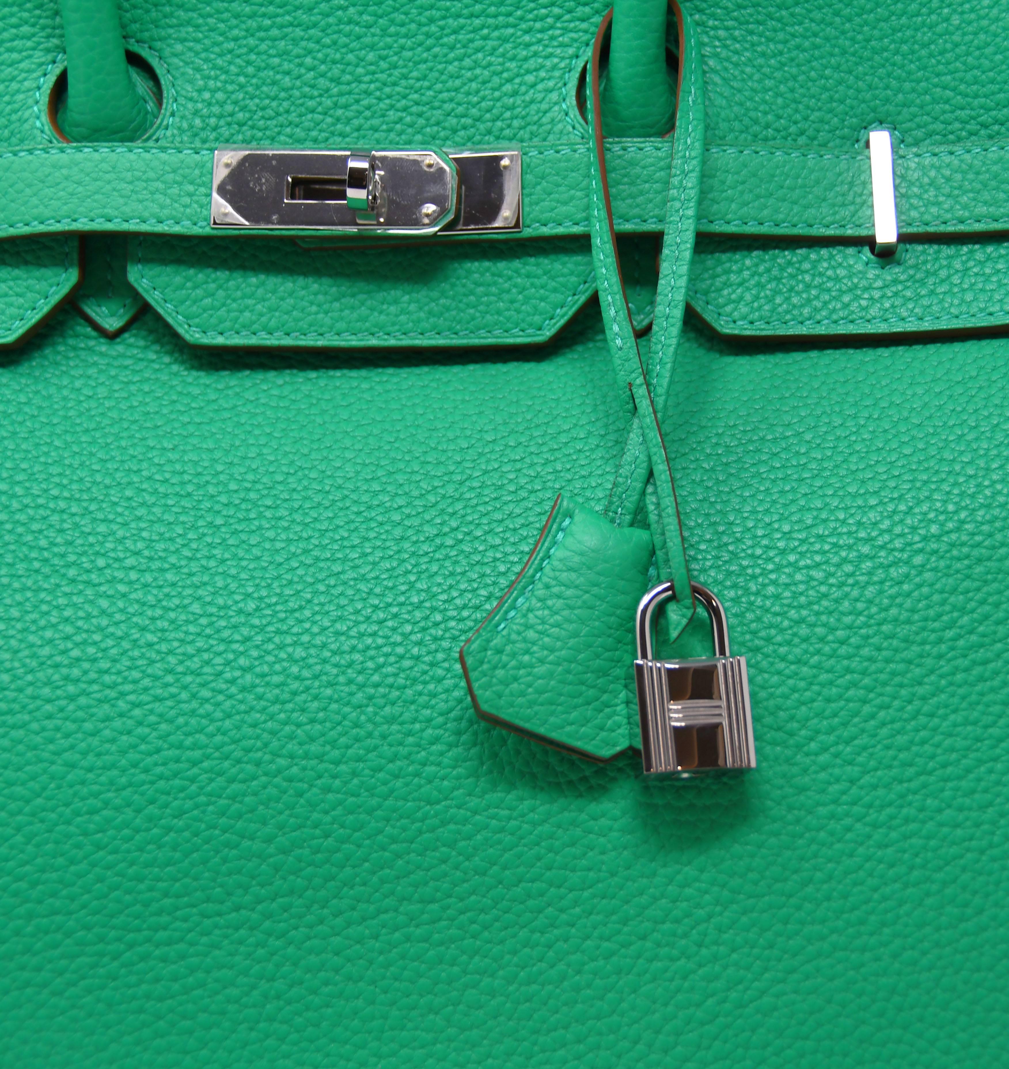 Hermes Birkin Bag 35cm Green Menthe Togo PHW For Sale at 1stDibs ...