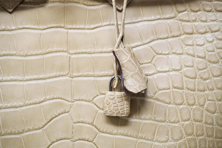 Hermes Birkin Bag 35cm Natural Matte Poussiere Alligator PHW at 1stDibs ...