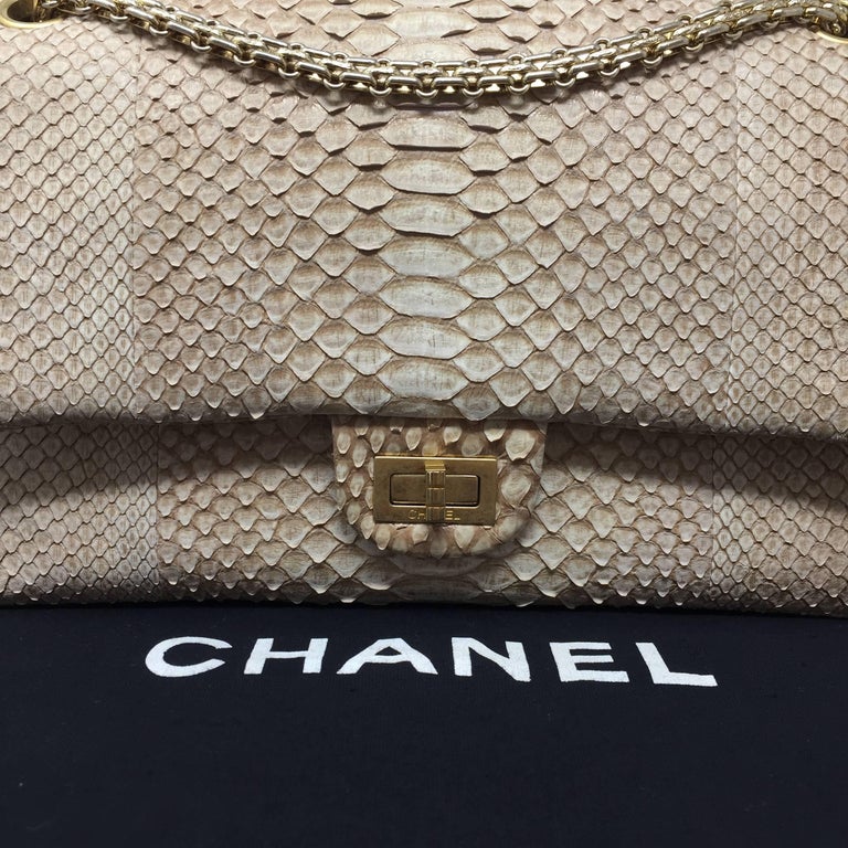 Chanel Reissue 2.55 Gold Nude Python Exotic Leather Shoulder Bag at ...