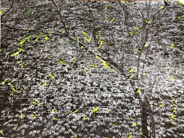 Ardan Özmenoğlu01 - post-it leaves For Sale at 1stDibs