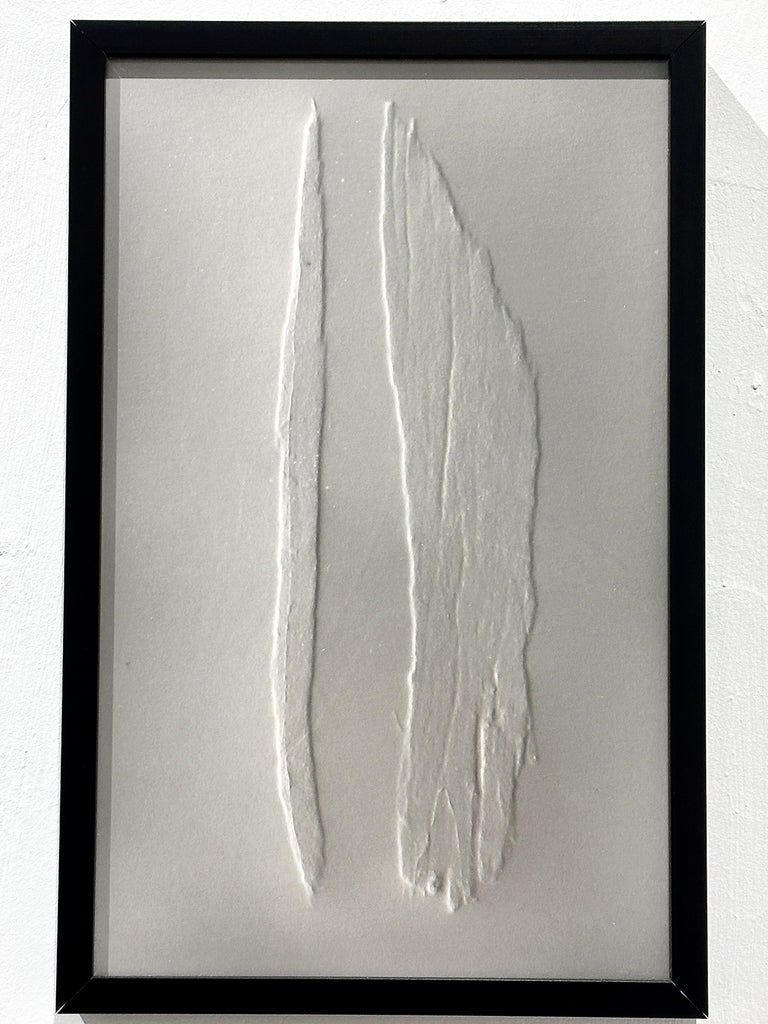 Arielle Rebek - Rows of Eucalyptus For Sale at 1stDibs